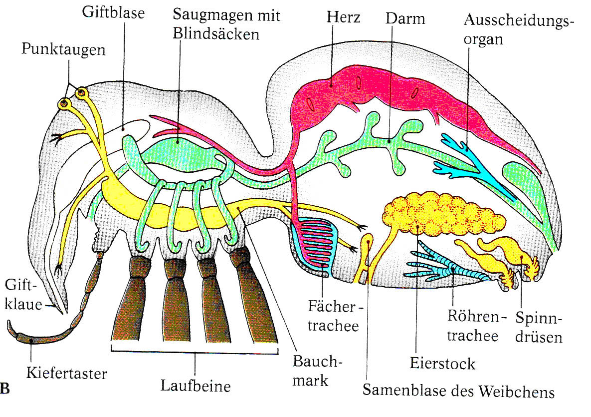 Downloads - Biomaterial-Online.de
